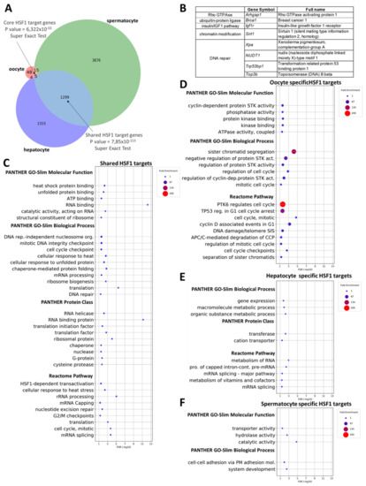 HSF1Base: A Comprehensive Database of HSF1 (Heat Shock Factor 1) Target ...