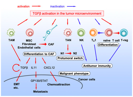 Transforming Growth Factor-β Signaling Pathway in Colorectal Cancer and ...