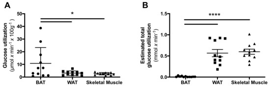 Metabolically Active Brown Adipose Tissue Is Found in Adult Subjects ...