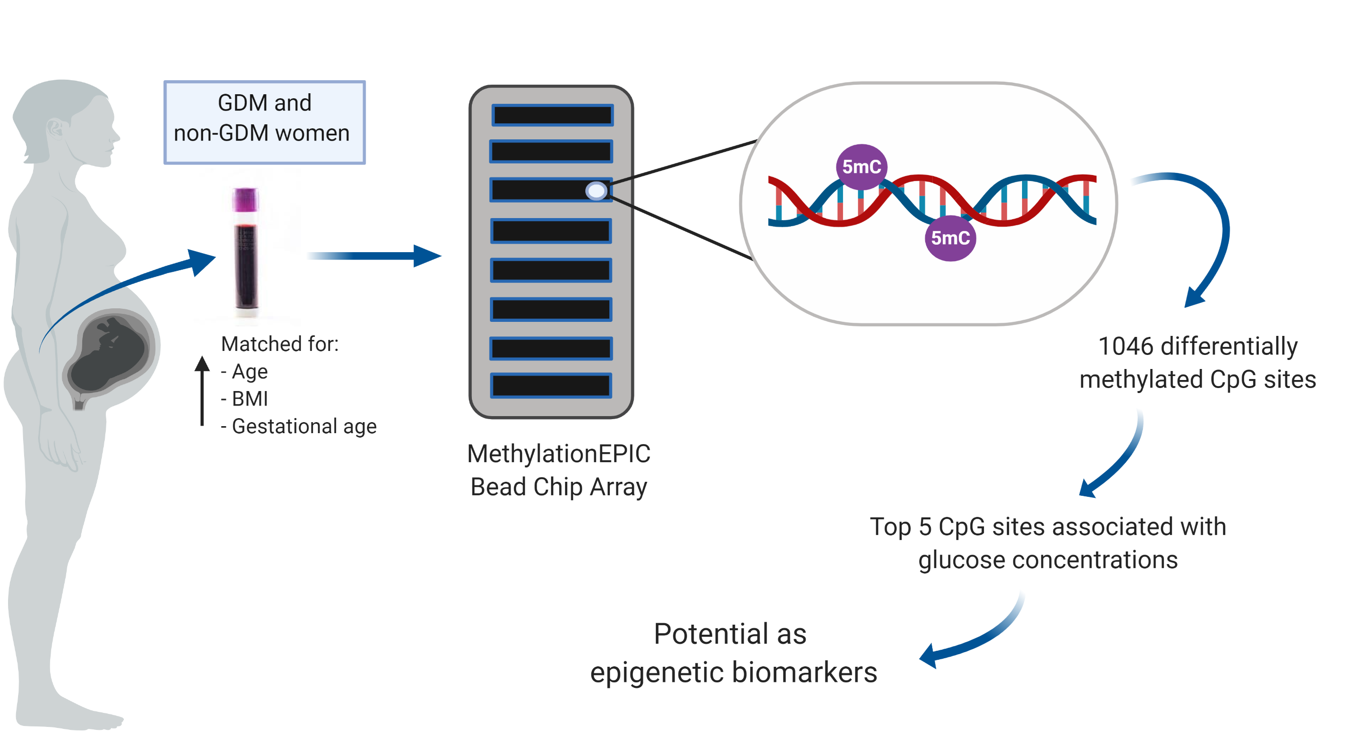 IJMS | Free Full-Text | Altered Genome-Wide DNA Methylation in ... IJMS | Free Full-Text | Altered Genome-Wide DNA Methylation in ...