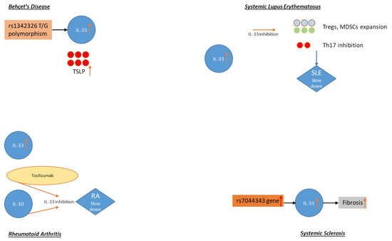 IL-33/IL-31 Axis in Immune-Mediated and Allergic Diseases