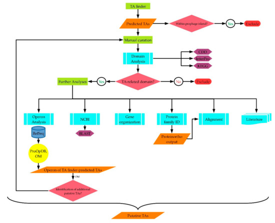 IJMS | Free Full-Text | Towards Exploring Toxin-Antitoxin Systems in ...