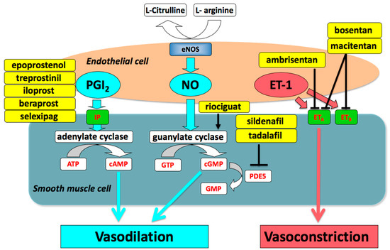 Current Treatment Strategies and Nanoparticle-Mediated Drug Delivery ...