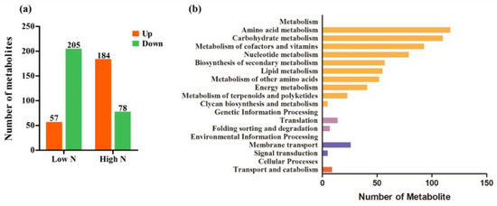 An Integrated Analysis of the Rice Transcriptome and Metabolome Reveals ...