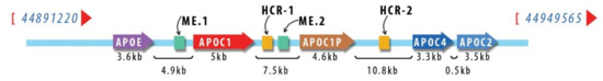 Apolipoprotein C1: Its Pleiotropic Effects in Lipid Metabolism and Beyond