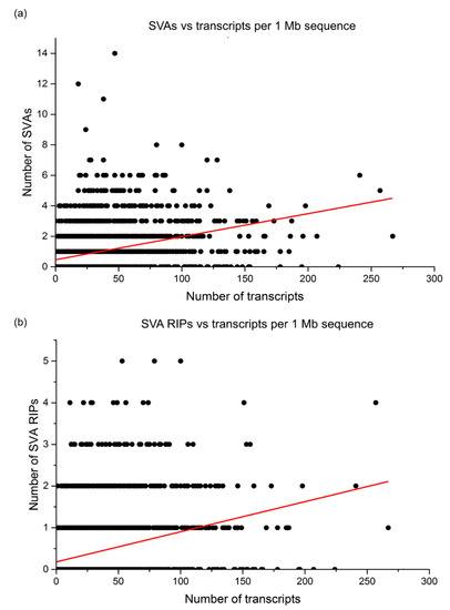The Role of SINE-VNTR-Alu (SVA) Retrotransposons in Shaping the Human ...
