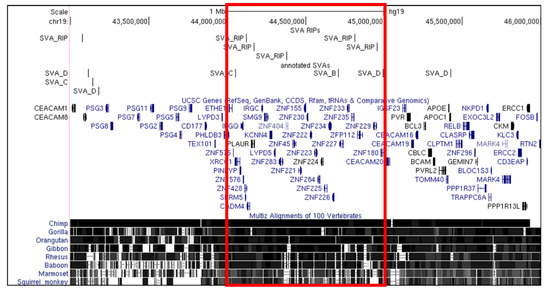 The Role of SINE-VNTR-Alu (SVA) Retrotransposons in Shaping the Human ...