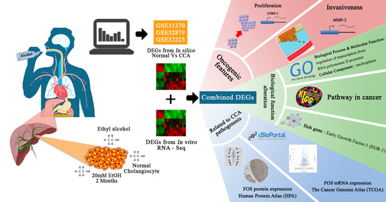IJMS | Free Full-Text | Integrative In Silico and In Vitro ...