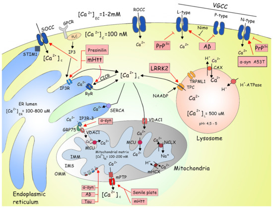 The Interplay between Ca2+ Signaling Pathways and Neurodegeneration