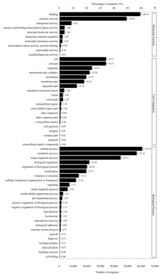 Analysis of Centranthera grandiflora Benth Transcriptome Explores Genes ...