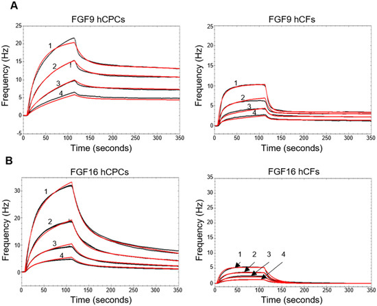 Phenotypic Screen with the Human Secretome Identifies FGF16 as Inducing ...