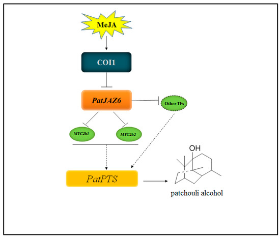 IJMS | Special Issue : Jasmonic Acid Pathway in Plants