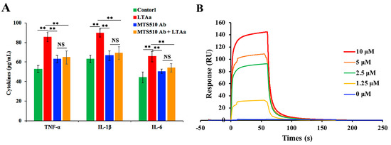 Development of a Highly Efficient Hybrid Peptide That Increases ...