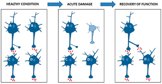 IJMS | Special Issue : Molecular Mechanisms of Synaptic Plasticity ...