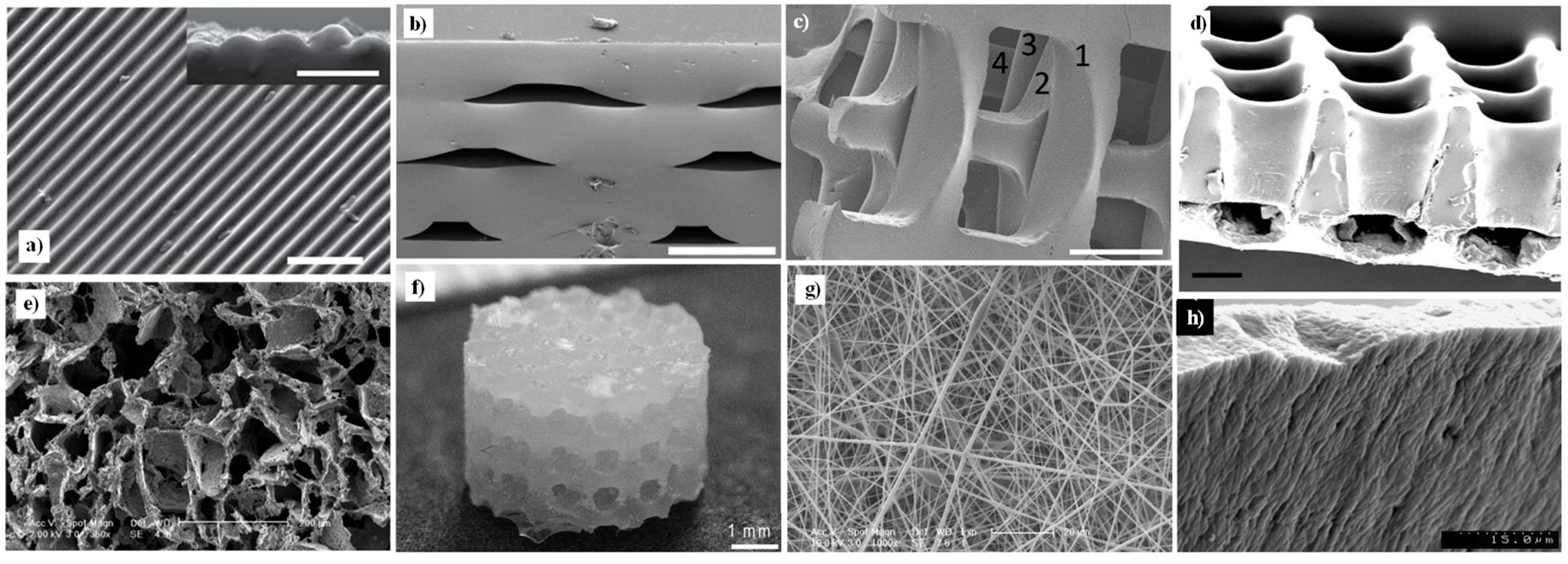 Polyglycerol Hyperbranched Polyesters: Synthesis, Properties and ...