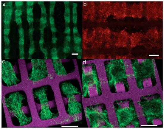 Polyglycerol Hyperbranched Polyesters: Synthesis, Properties and ...