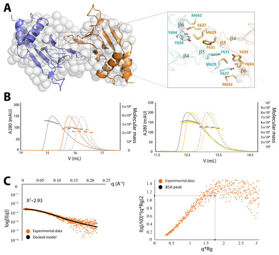 Structural Insights into the Intracellular Region of the Human ...