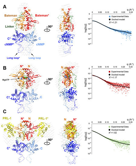 Structural Insights into the Intracellular Region of the Human ...
