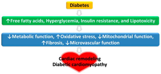 Exercise as A Potential Therapeutic Target for Diabetic Cardiomyopathy ...