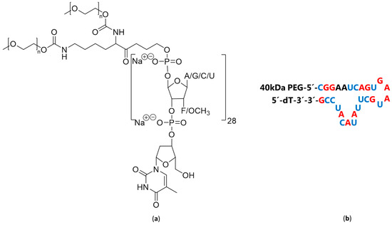 Peptides, Antibodies, Peptide Antibodies and More