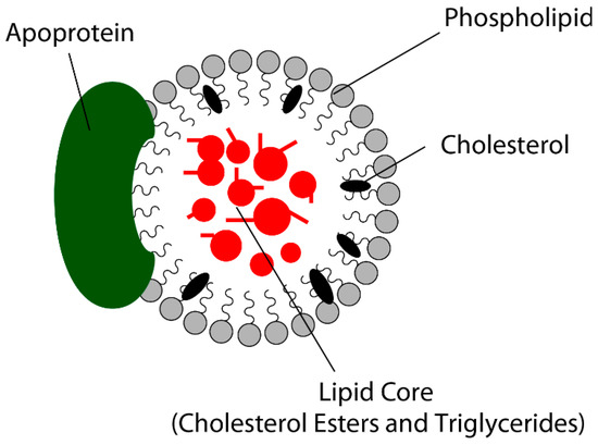 Lipoprotein Drug Delivery Vehicles for Cancer: Rationale and Reason