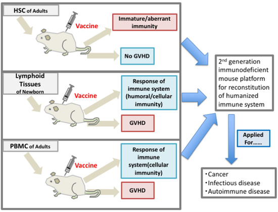 Humanized Mice as an Effective Evaluation System for Peptide Vaccines and Immune Checkpoint ...