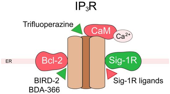 Partners in Crime: Towards New Ways of Targeting Calcium Channels
