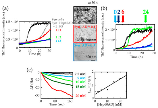 Human Molecular Chaperone Hsp60 and Its Apical Domain Suppress Amyloid ...
