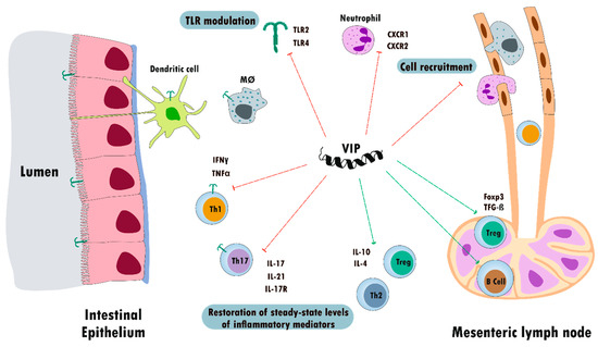 A Clinical Approach for the Use of VIP Axis in Inflammatory and ...