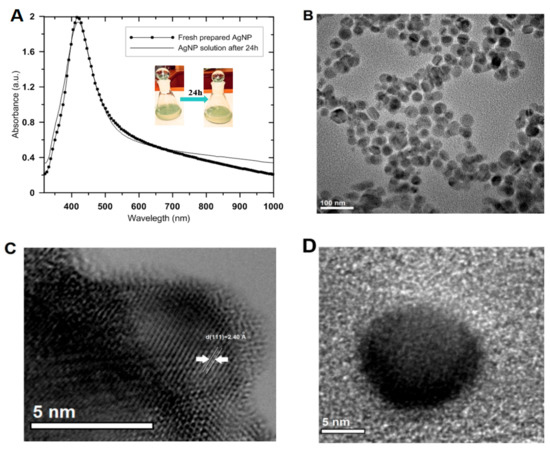 Silver Nanoparticles on Chitosan/Silica Nanofibers: Characterization ...