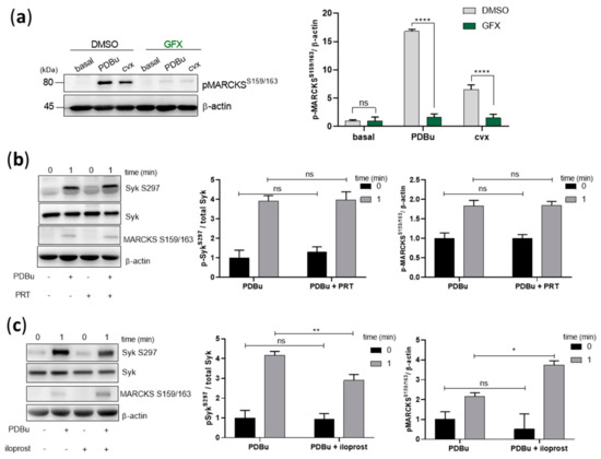 Feedback Regulation of Syk by Protein Kinase C in Human Platelets