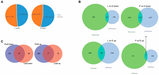 IJMS | Free Full-Text | Integration of ATAC-Seq and RNA-Seq Identifies ...