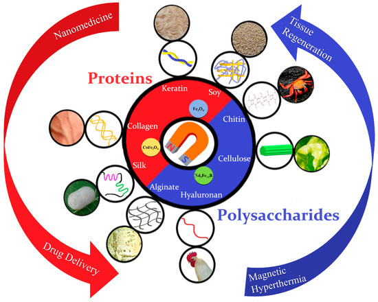 Protein and Polysaccharide-Based Magnetic Composite Materials for ...