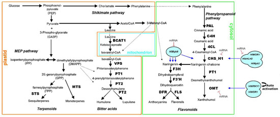 Dissection of Dynamic Transcriptome Landscape of Leaf, Bract, and ...