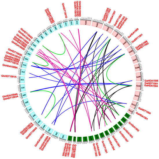 IJMS | Free Full-Text | Histone Deacetylase (HDAC) Gene Family in ...