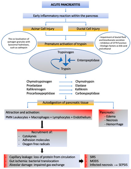 Multifactorial Scores and Biomarkers of Prognosis of Acute Pancreatitis ...