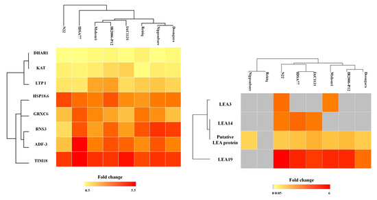 Proteomic Responses to Drought Vary Widely Among Eight Diverse ...