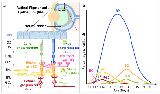 Neurogenesis and Specification of Retinal Ganglion Cells