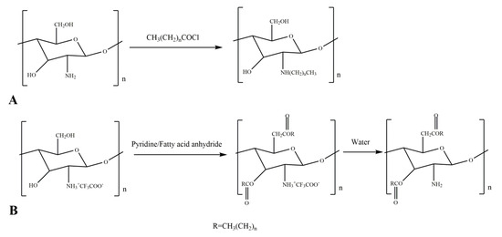 IJMS | Free Full-Text | Chitosan Derivatives and Their Application in Biomedicine