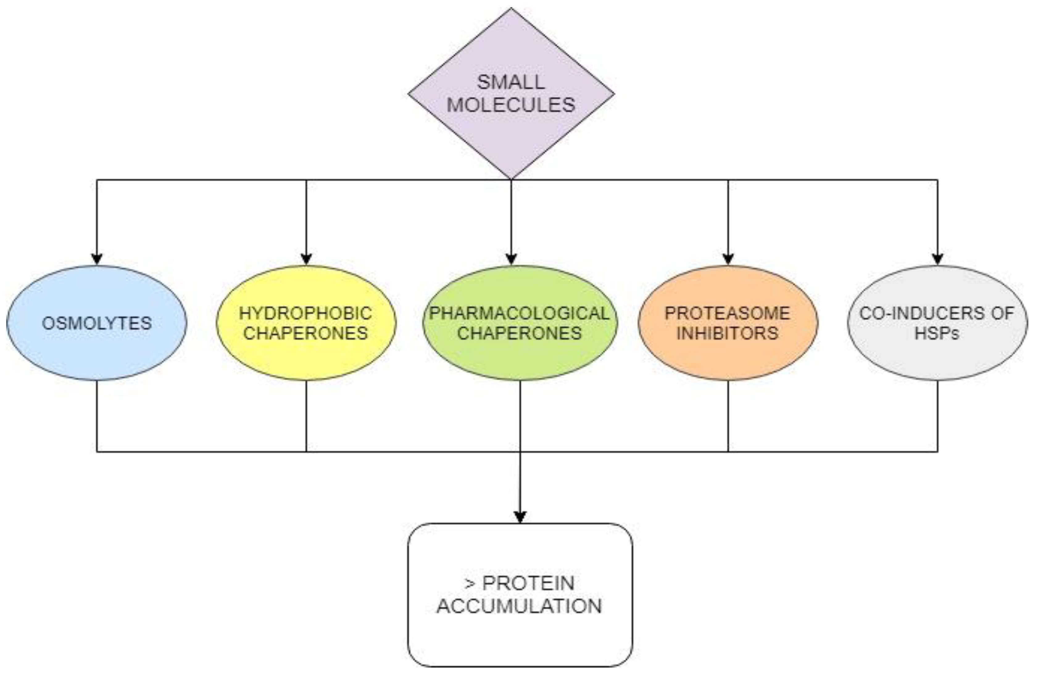 Pharmacological Chaperones: A Therapeutic Approach for Diseases Caused ...