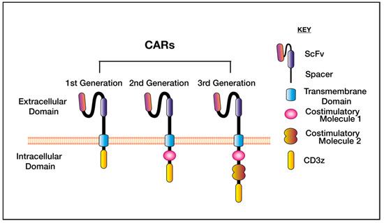 Finding the Keys to the CAR: Identifying Novel Target Antigens for T ...