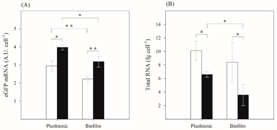 The Impact of IPTG Induction on Plasmid Stability and Heterologous ...