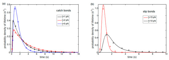 IJMS | Free Full-Text | Mechanical Model for Catch-Bond-Mediated Cell ...