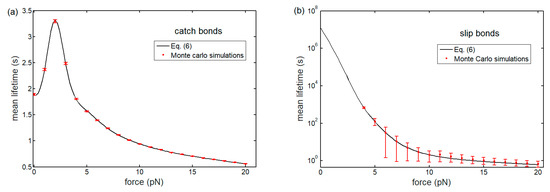 Mechanical Model for Catch-Bond-Mediated Cell Adhesion in Shear Flow