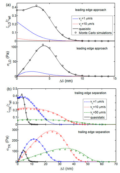 Mechanical Model for Catch-Bond-Mediated Cell Adhesion in Shear Flow