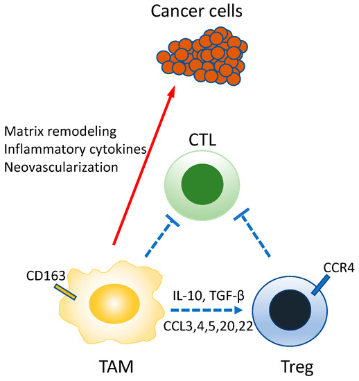 Immunosurveillance and Immunoediting of Lung Cancer: Current ...