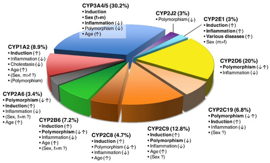 IJMS | Free Full-Text | The Role of CYP450 Drug Metabolism in Precision ...
