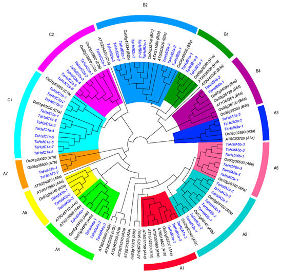 Genome-Wide Investigation of Heat Shock Transcription Factor Family in ...