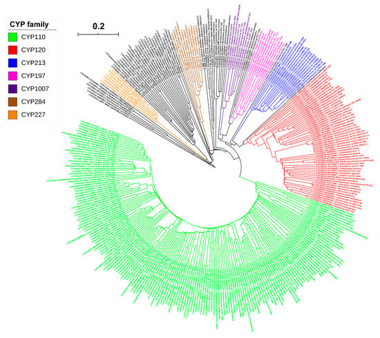 Comprehensive Analyses of Cytochrome P450 Monooxygenases and Secondary ...