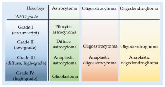 Dissecting Molecular Features of Gliomas: Genetic Loci and Validated Biomarkers